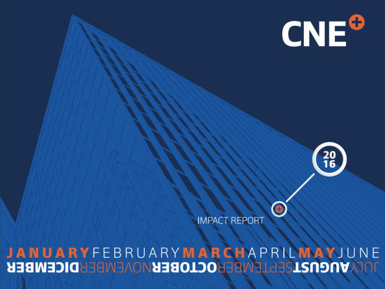 CNE 2016 Annual Report - CNE – Centro Para Una Nueva Economía – Center ...