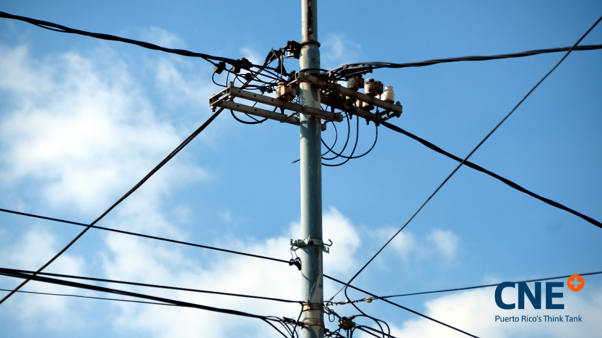 Analysis of a Long-Term Agreement for the Operation and Management of ...