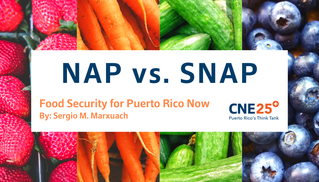 Food Security for Puerto Rico Now - CNE – Centro Para Una Nueva ...