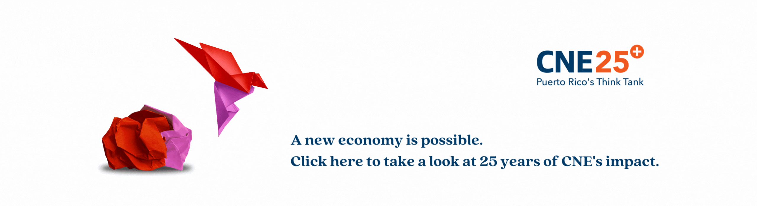 Home - CNE – Centro Para Una Nueva Economía – Center for a New Economy