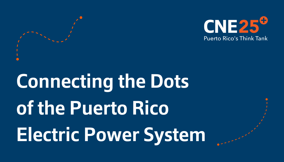 Connecting the Dots of the Puerto Rico Electric Power System - CNE ...